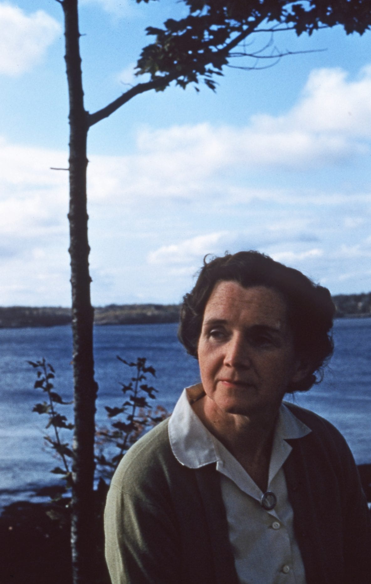Film Review: PBS American Experience’s ‘Rachel Carson’ - Earthzine