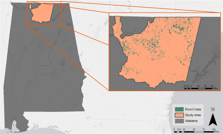 Using NASA Earth Observations to Assess Vegetative Stress of Row Crops ...